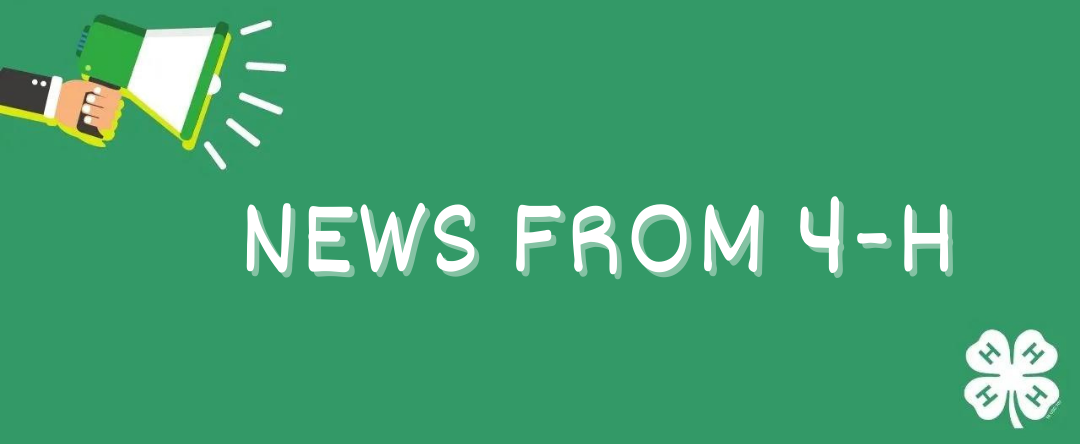 4-H Current News – Extension Price County